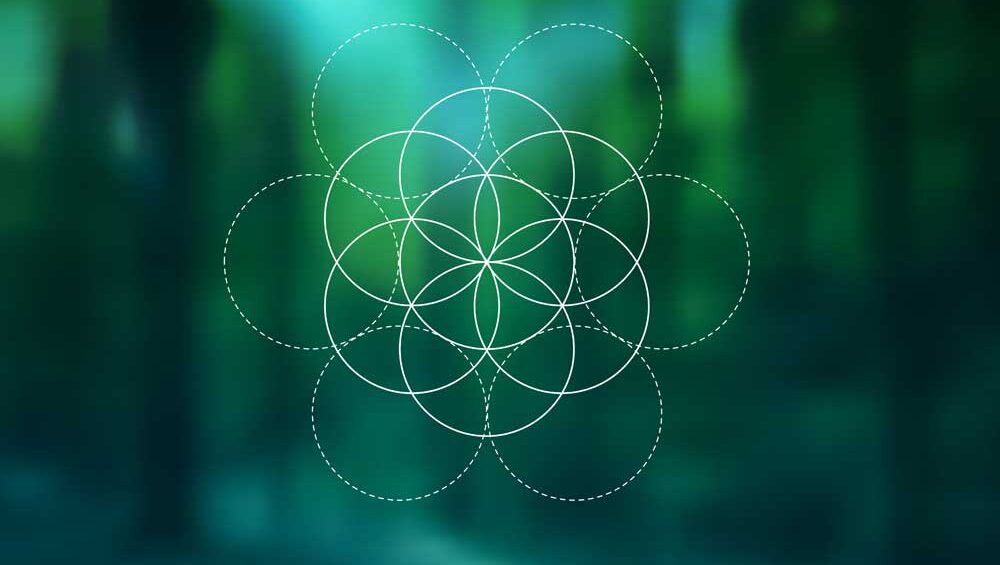 Seed of Life Journey: Wake Your Spirit Through Sacred Symbolism