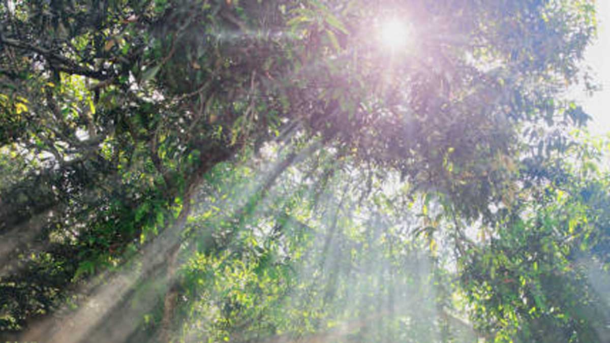 Letting Go with Compassion for a Happier Life